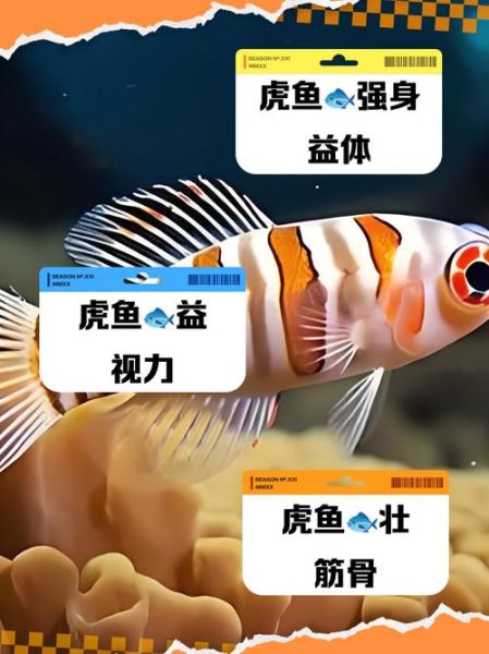 虎鱼毒性有多强_被虎鱼刺伤怎么办-第1张图片-山城妙识 虎鱼毒性有多强_被虎鱼刺伤怎么办-第1张图片-山城妙识
