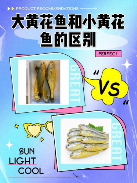 黄鱼和黄花鱼哪个好吃_口感区别与选购技巧-第1张图片-山城妙识