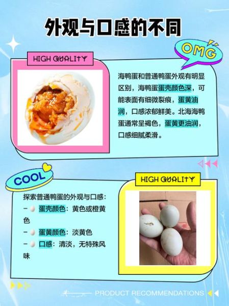 海鸭蛋和普通鸭蛋的区别_哪个更营养-第1张图片-山城妙识