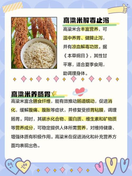 高粱米的功效与作用_高粱米营养价值高吗-第2张图片-山城妙识