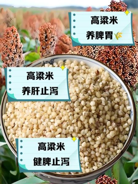 高粱米的功效与作用_高粱米营养价值高吗-第1张图片-山城妙识