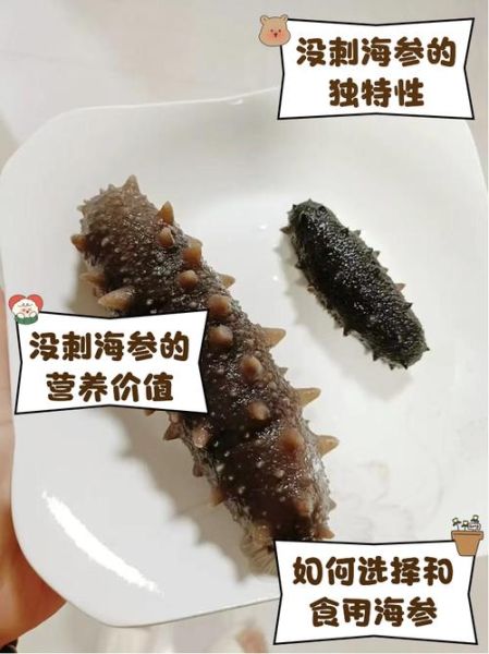无刺海参多少钱一斤_无刺海参价格为何差异大-第3张图片-山城妙识