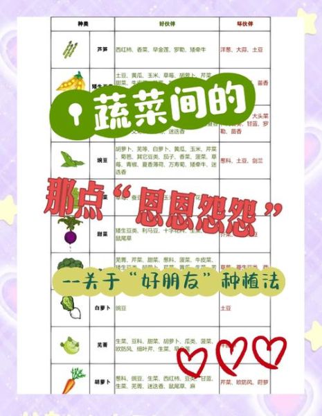蔬菜人终极淘汰赛怎么玩_蔬菜人终极淘汰赛规则-第1张图片-山城妙识