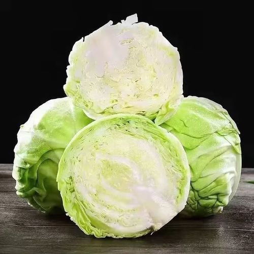 铁头包菜怎么做好吃_铁头包菜的家常做法-第1张图片-山城妙识 铁头包菜怎么做好吃_铁头包菜的家常做法-第1张图片-山城妙识