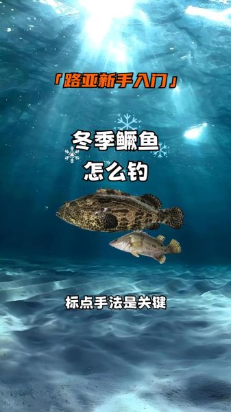鳜鱼肥是什么季节_鳜鱼肥怎么钓-第2张图片-山城妙识