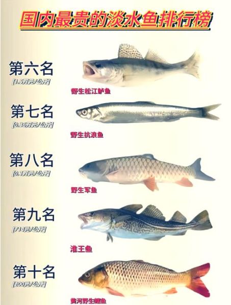 淡水鱼价格排名_哪种淡水鱼最贵-第2张图片-山城妙识