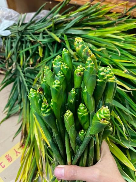 黄姜花怎么吃_黄姜花食用方法-第1张图片-山城妙识