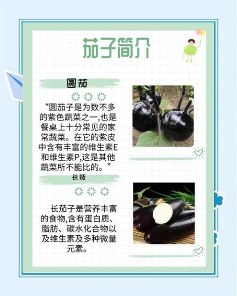 茄子有什么营养价值_茄子功效与作用有哪些-第1张图片-山城妙识 茄子有什么营养价值_茄子功效与作用有哪些-第1张图片-山城妙识