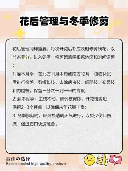 花凋谢后怎么处理_如何让花再次盛开-第1张图片-山城妙识
