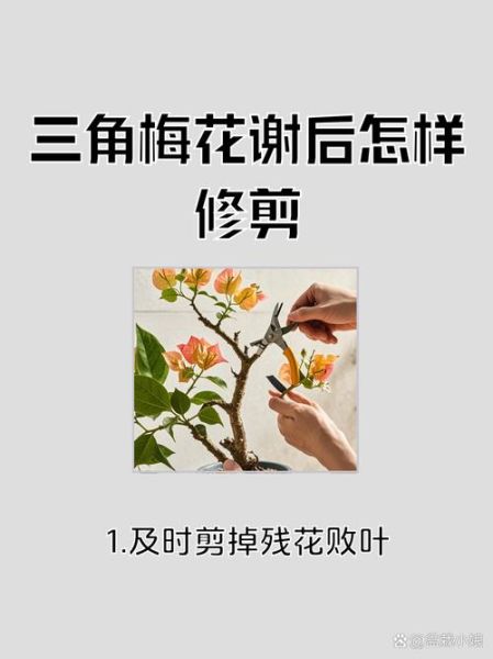 花凋谢后怎么处理_如何让花再次盛开-第3张图片-山城妙识