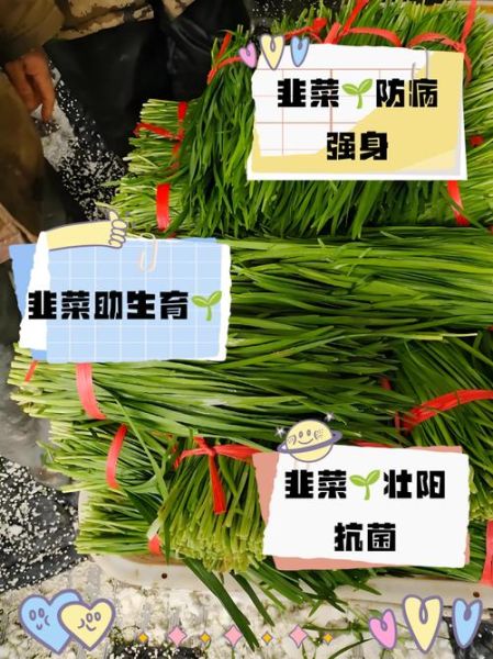 韭菜壮阳吗_韭菜补肾是真的吗-第2张图片-山城妙识