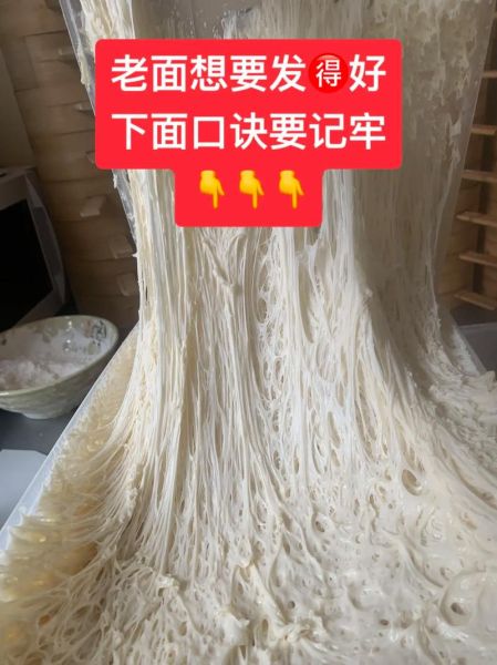 老面怎么发面_老面发面多久能发好-第1张图片-山城妙识