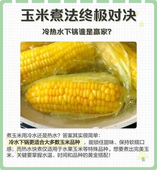 糯玉米煮多久_糯玉米冷水下锅还是热水-第1张图片-山城妙识