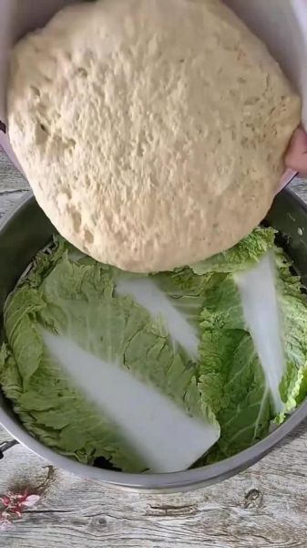 老面怎么发面_老面发面多久能发好-第3张图片-山城妙识