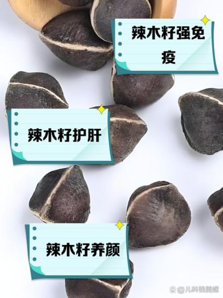 辣木籽的功效与副作用_哪些人不能吃-第1张图片-山城妙识