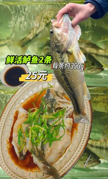 鲈鱼多少钱一斤_鲈鱼价格行情-第3张图片-山城妙识