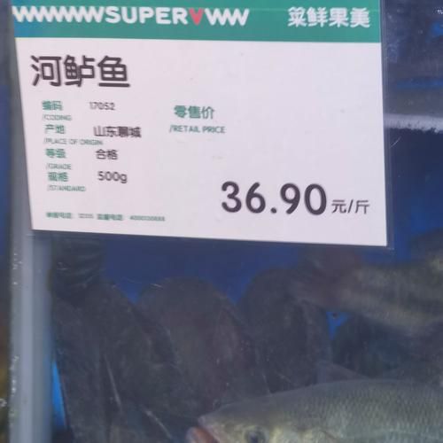 鲈鱼多少钱一斤_鲈鱼价格行情-第2张图片-山城妙识
