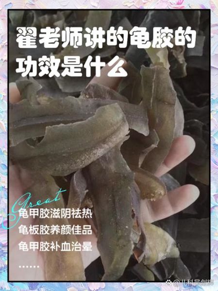 龟板胶的功效与作用_龟板胶适合什么人吃-第2张图片-山城妙识