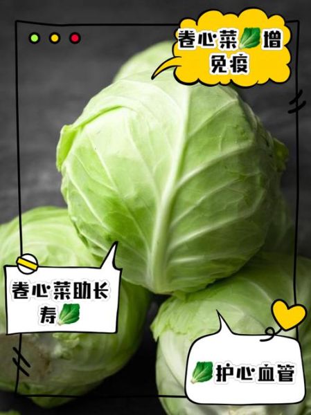 卷心菜的功效与作用_卷心菜的禁忌有哪些-第1张图片-山城妙识