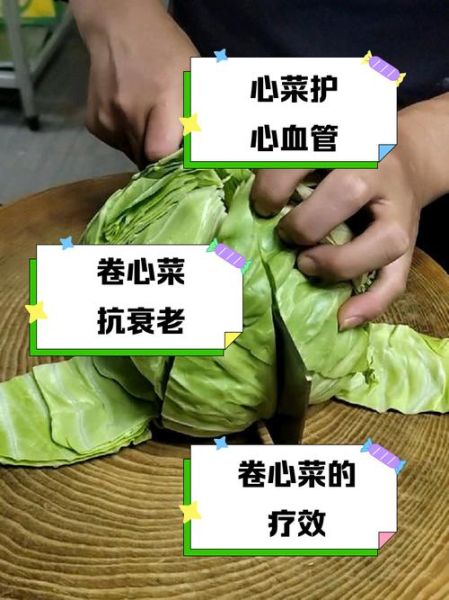 卷心菜的功效与作用_卷心菜的禁忌有哪些-第3张图片-山城妙识