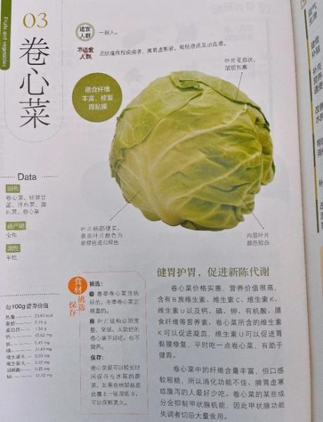 卷心菜的功效与作用_卷心菜的禁忌有哪些-第2张图片-山城妙识