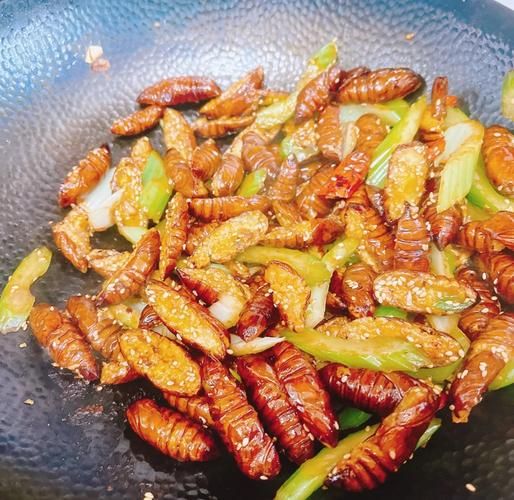 油炸蚕蛹的功效与作用_油炸蚕蛹的营养价值-第1张图片-山城妙识