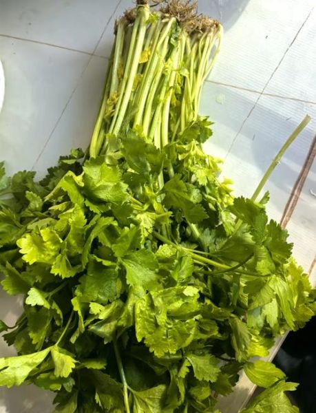 芹菜猪肉饺子馅怎么调味_芹菜猪肉饺子馅的做法-第3张图片-山城妙识