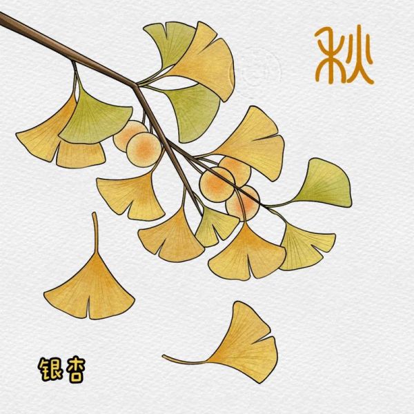银杏树简笔画怎么画_银杏树简笔画步骤-第1张图片-山城妙识