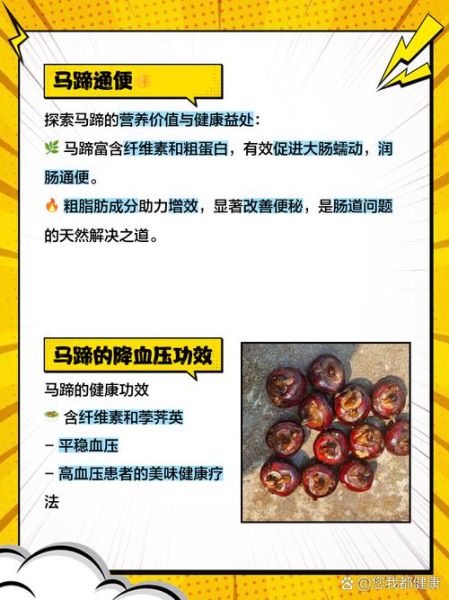 马蹄其实是马的什么_马蹄结构功能详解-第2张图片-山城妙识