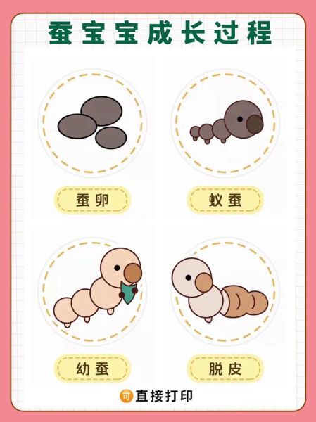 蚕图片大全大图_蚕的生长过程图片-第1张图片-山城妙识