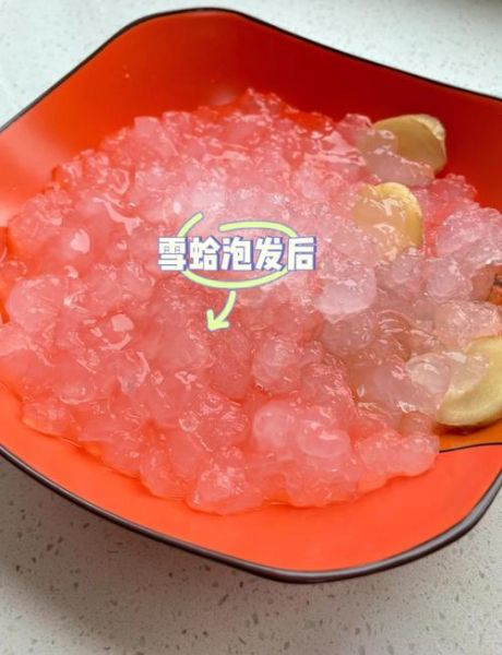 雪蛤怎么吃对卵巢好_雪蛤炖什么最养卵巢-第2张图片-山城妙识