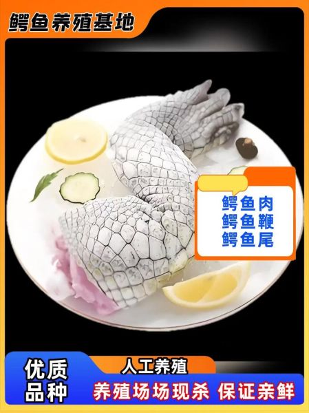鳄鱼肉多少钱一斤_鳄鱼肉价格为什么这么贵-第2张图片-山城妙识 鳄鱼肉多少钱一斤_鳄鱼肉价格为什么这么贵-第2张图片-山城妙识