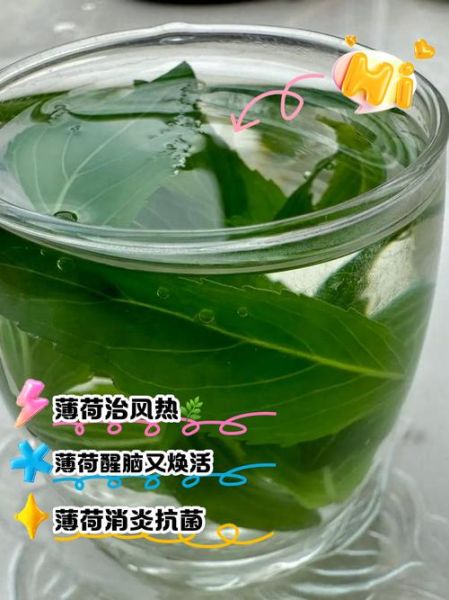 薄荷叶泡水有什么好处_薄荷叶泡水能减肥吗-第2张图片-山城妙识