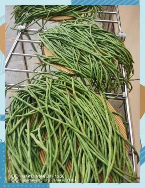 韭花豆角咸菜怎么腌制_韭花豆角咸菜腌制方法-第3张图片-山城妙识