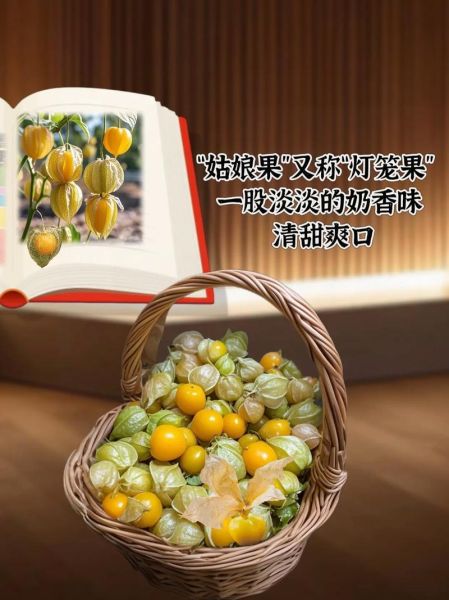 菇凉是什么意思_菇凉和姑娘的区别-第2张图片-山城妙识