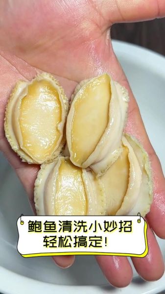鲍鱼怎么清洗才干净_鲍鱼最简单的家常做法-第1张图片-山城妙识