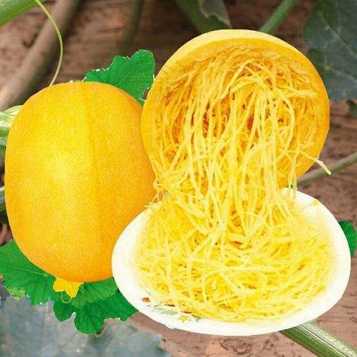 金丝搅瓜怎么做_金丝搅瓜的做法窍门-第1张图片-山城妙识