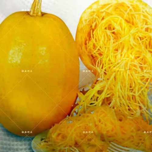 金丝搅瓜怎么做_金丝搅瓜的做法窍门-第3张图片-山城妙识