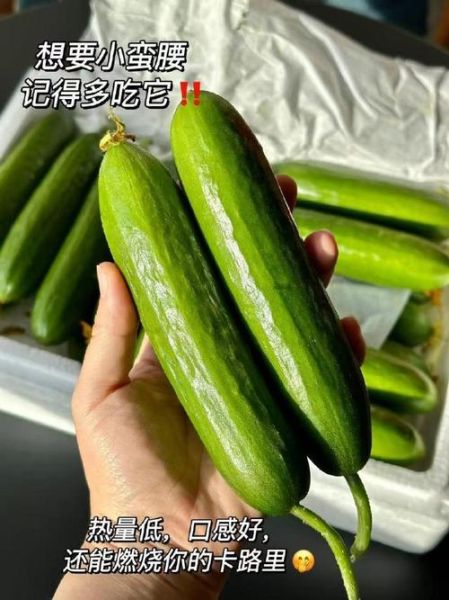 黄瓜幸福宝是什么_黄瓜幸福宝怎么用-第3张图片-山城妙识