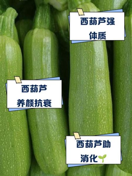西胡瓜的营养价值_西胡瓜的功效与作用-第1张图片-山城妙识 西胡瓜的营养价值_西胡瓜的功效与作用-第1张图片-山城妙识