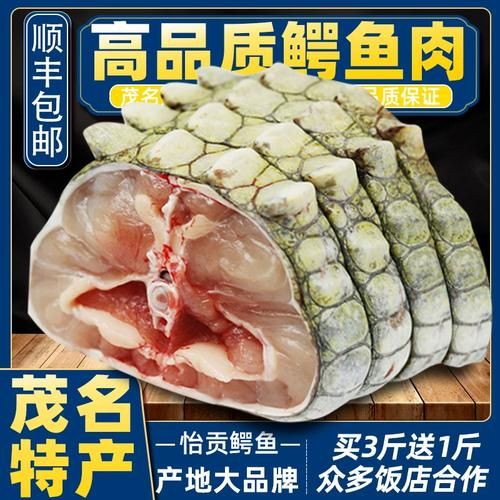 鳄鱼肉市场价多少一斤_鳄鱼肉价格影响因素-第1张图片-山城妙识