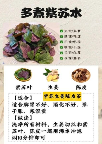 紫苏的功效与作用及食用方法_紫苏怎么吃最健康-第2张图片-山城妙识 紫苏的功效与作用及食用方法_紫苏怎么吃最健康-第2张图片-山城妙识