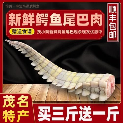 鳄鱼肉市场价多少一斤_鳄鱼肉价格影响因素-第3张图片-山城妙识