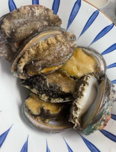 鲜活鲍鱼怎么处理_鲜活鲍鱼怎么吃最好-第1张图片-山城妙识 鲜活鲍鱼怎么处理_鲜活鲍鱼怎么吃最好-第1张图片-山城妙识