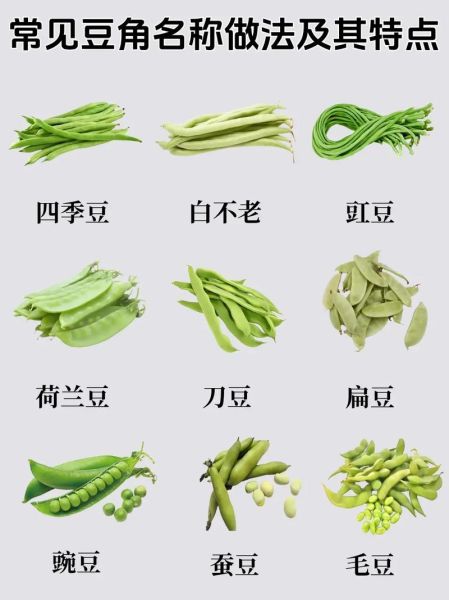 豇豆和豆角的区别_豇豆和豆角哪个更有营养-第3张图片-山城妙识