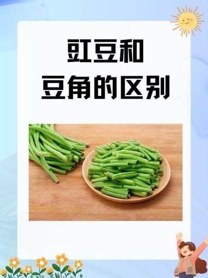 豇豆和豆角的区别_豇豆和豆角哪个更有营养-第1张图片-山城妙识