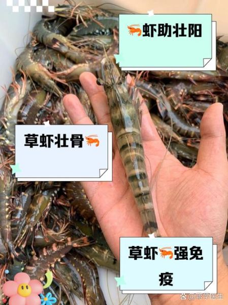 草虾的营养价值_草虾的功效与作用-第1张图片-山城妙识 草虾的营养价值_草虾的功效与作用-第1张图片-山城妙识