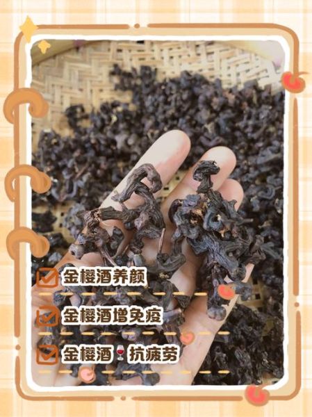 金樱子怎么吃补肾_金樱子补肾的正确方法-第3张图片-山城妙识 金樱子怎么吃补肾_金樱子补肾的正确方法-第3张图片-山城妙识