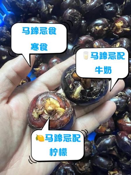 马蹄不能和什么一起吃_马蹄与哪些食物相克-第2张图片-山城妙识 马蹄不能和什么一起吃_马蹄与哪些食物相克-第2张图片-山城妙识