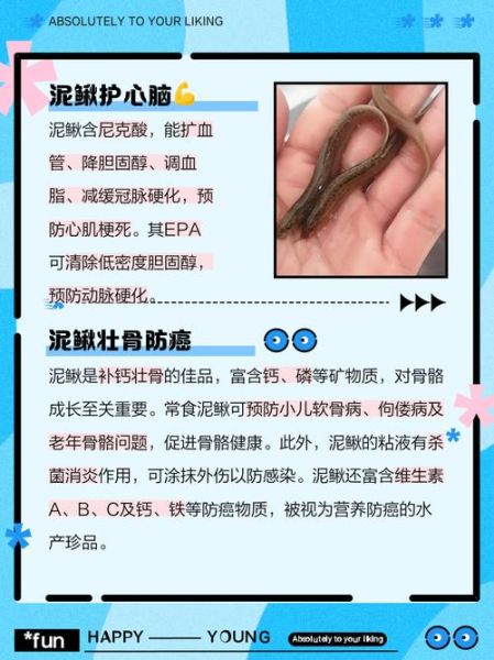 泥鳅抗癌是真的吗_泥鳅抗癌成分有哪些-第1张图片-山城妙识 泥鳅抗癌是真的吗_泥鳅抗癌成分有哪些-第1张图片-山城妙识